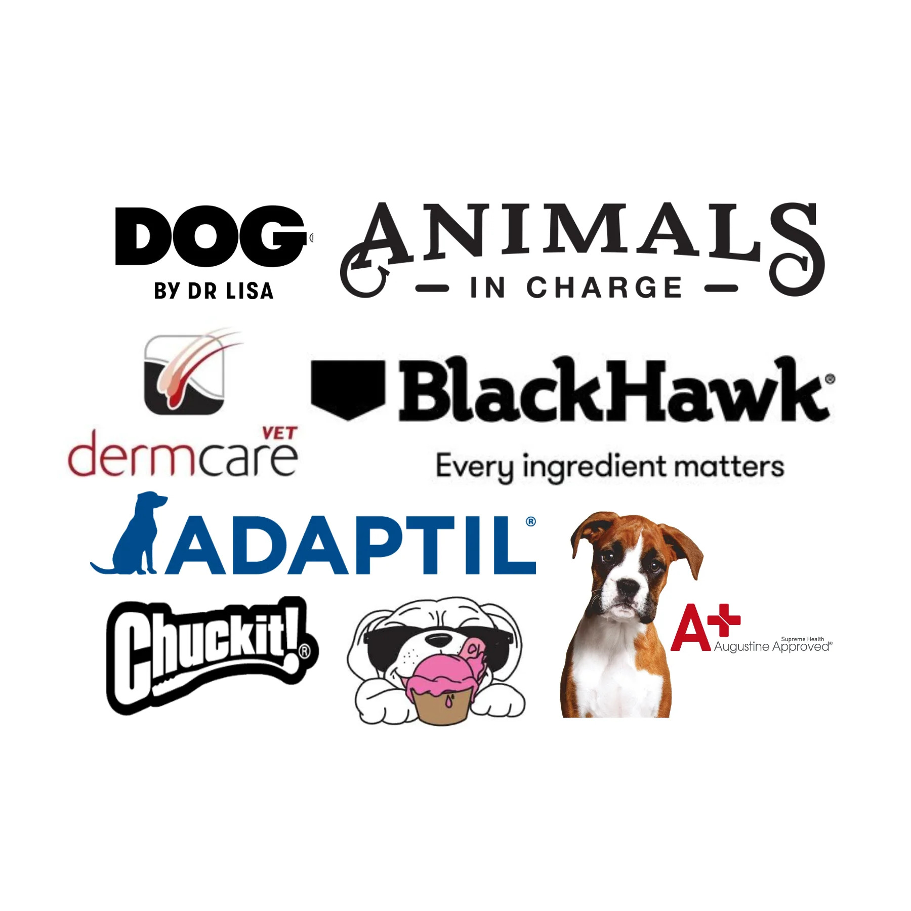 Brands – Dogs in Town