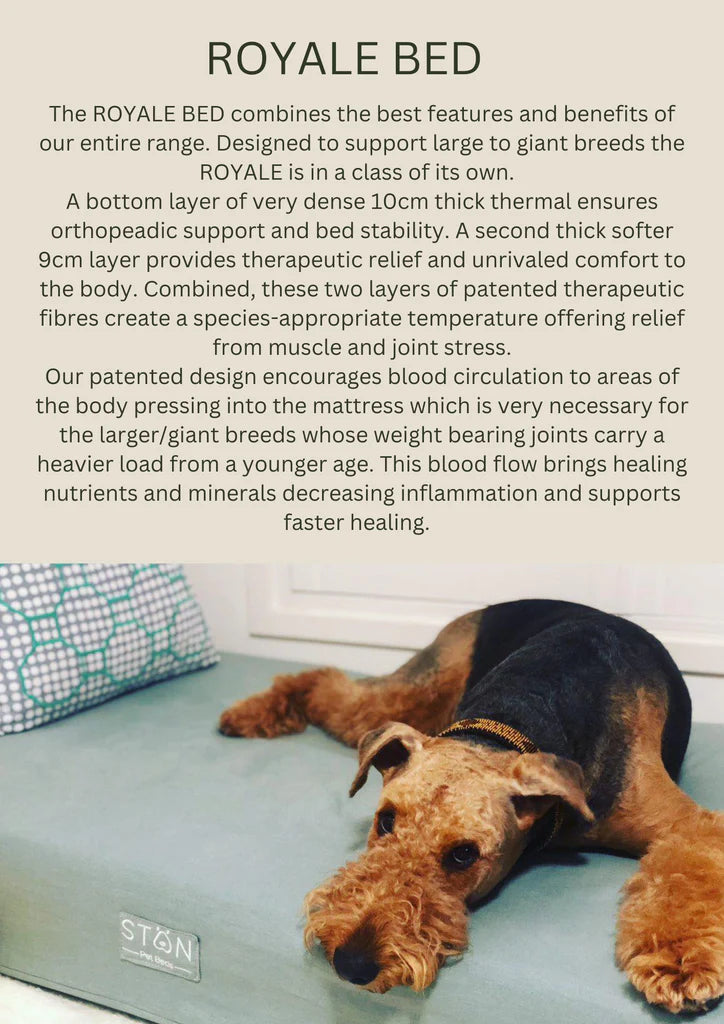 STAN Royale Dog Bed in Linen / Natural – Dogs in Town