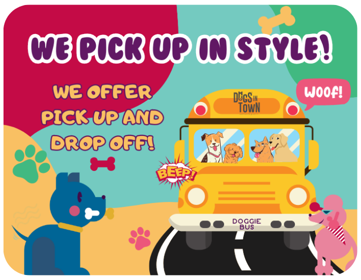 Dog Services, Supplies & Products | Dogs in Town