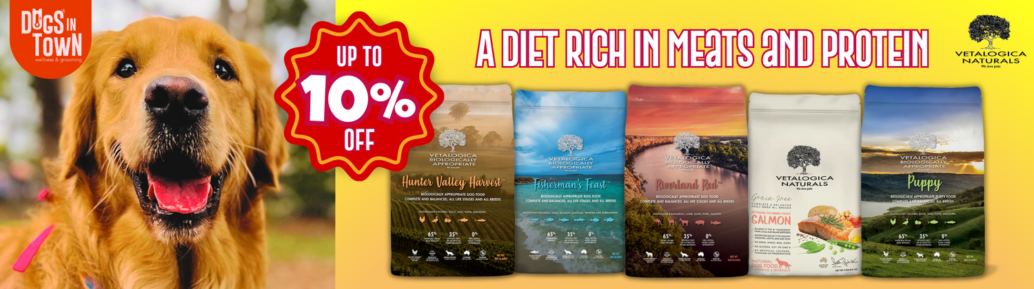 Dogs in Town: Pet Store Sydney | Best Dog Supplies Shop